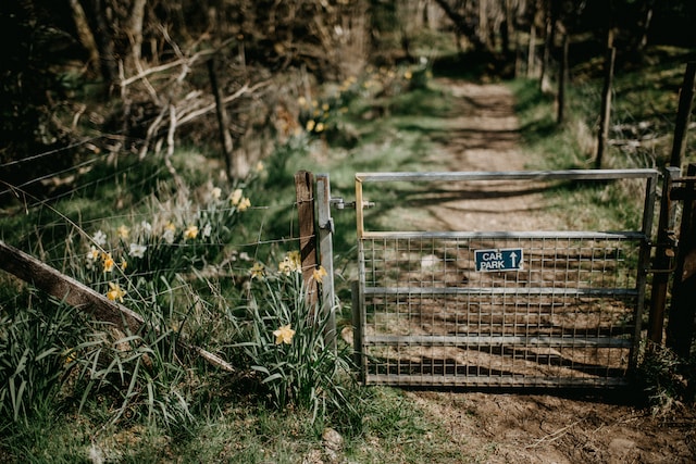 The Essential Guide to Gate Maintenance Protecting Your Home