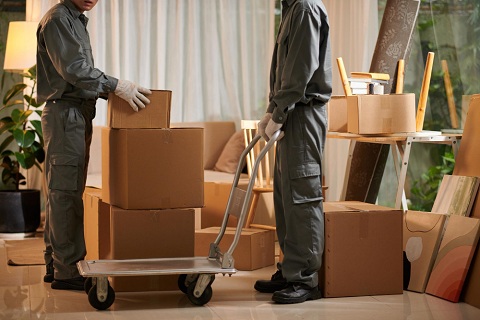 Top Reasons to Hire Professional Movers For Your Move Out
