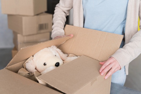 How Moving Companies Can Assist in Stress-Free Pet Relocations
